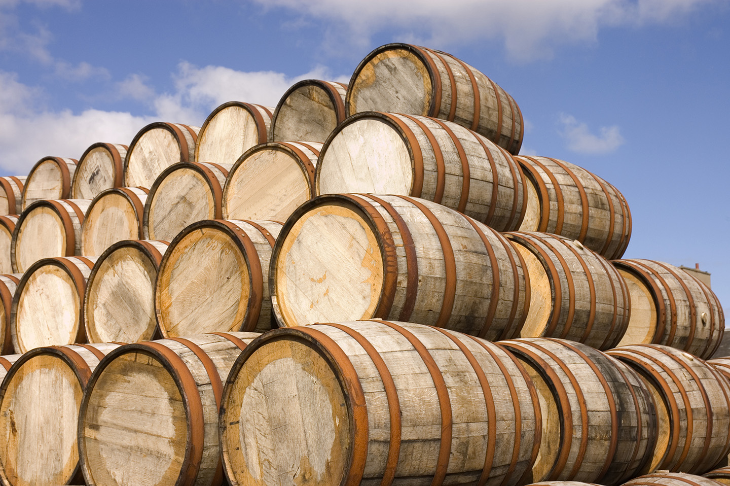 Getting Started As A Whisky Cask Investor - CaskX